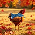 FEOLGEHLY Pet Clothes---Waterproof Chicken Saddle for Hens Ducks Geese ...