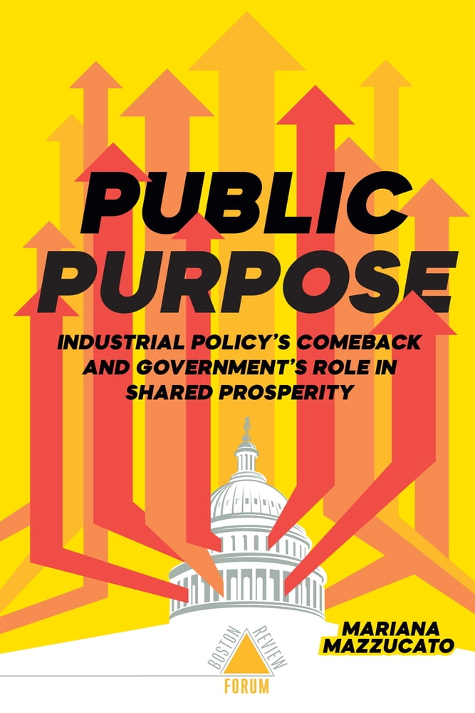 Pre-Owned Public Purpose (Paperback) 194651165X 9781946511652 - Walmart.com