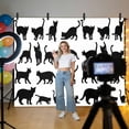 Black Cat Backdrop for Photography, Fabric Photo Background Backdrop ...