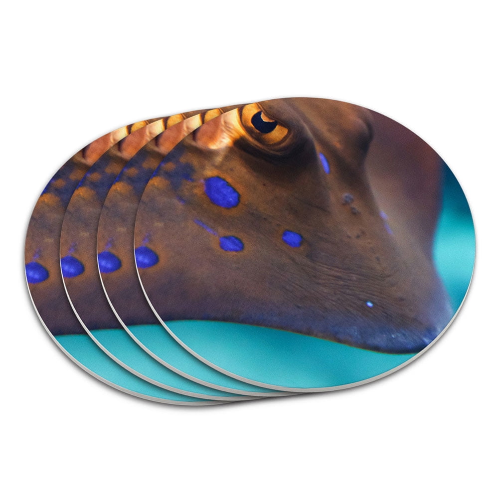 Stingray Fish Underwater Ocean Diving Dive Coaster Set - Walmart.com