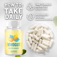 Vivogut Gut Health Pills Advanced Formula Digestion Support Vivo Gut ...