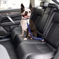Dog Seat Belt for Car – Safe Distraction Free Driving, Heavy-Duty ...