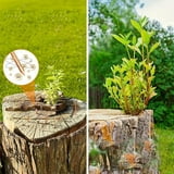 25/20/15Pcs 4Inch Copper Nails For Killing Trees Stump Root Stump ...