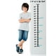 Baby Vinyl Growth Chart Decal Hanging Height Ruler Sticker For Children ...