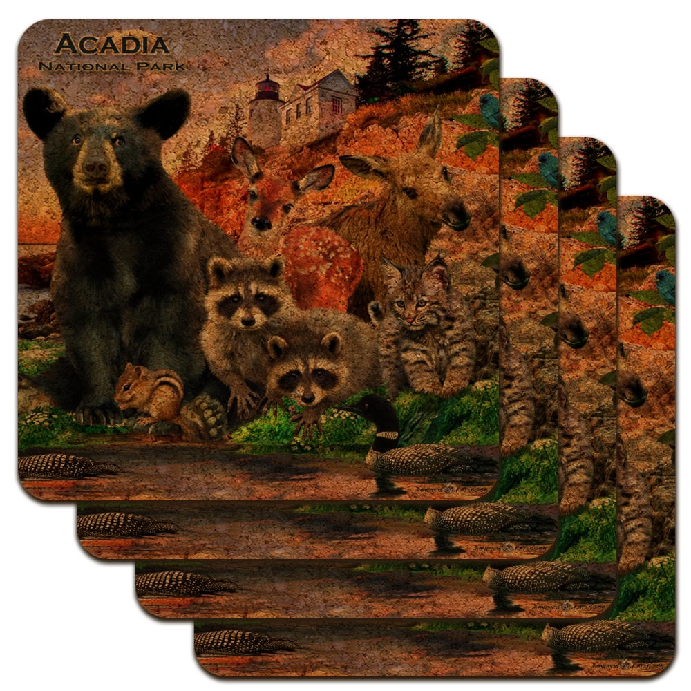 Acadia National Park Maine ME Animals Bear Racoon Deer Moose Low ...