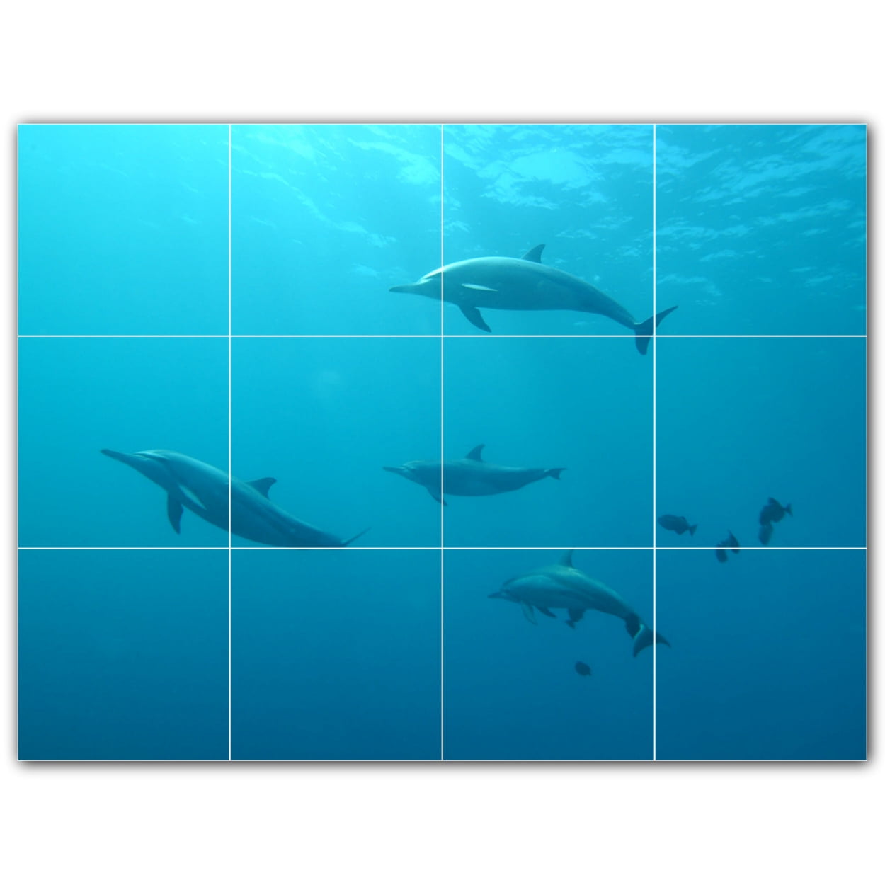 Picture-Tiles.com: Dolphin Ceramic Tile Wall Mural WAL500532-43M. 24"W ...
