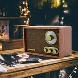LoopTone AM FM Radio for Home,Classic Retro Radios with Bluetooth Play ...
