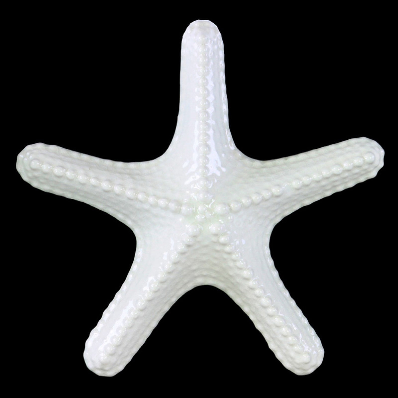 Urban trends collection: ceramic starfish figurine Beach Décor, gloss ...