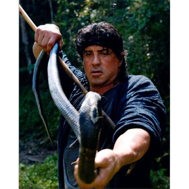 Sylvester Stallone tackles huge snake in 2008 Rambo 8x10 inch photo ...