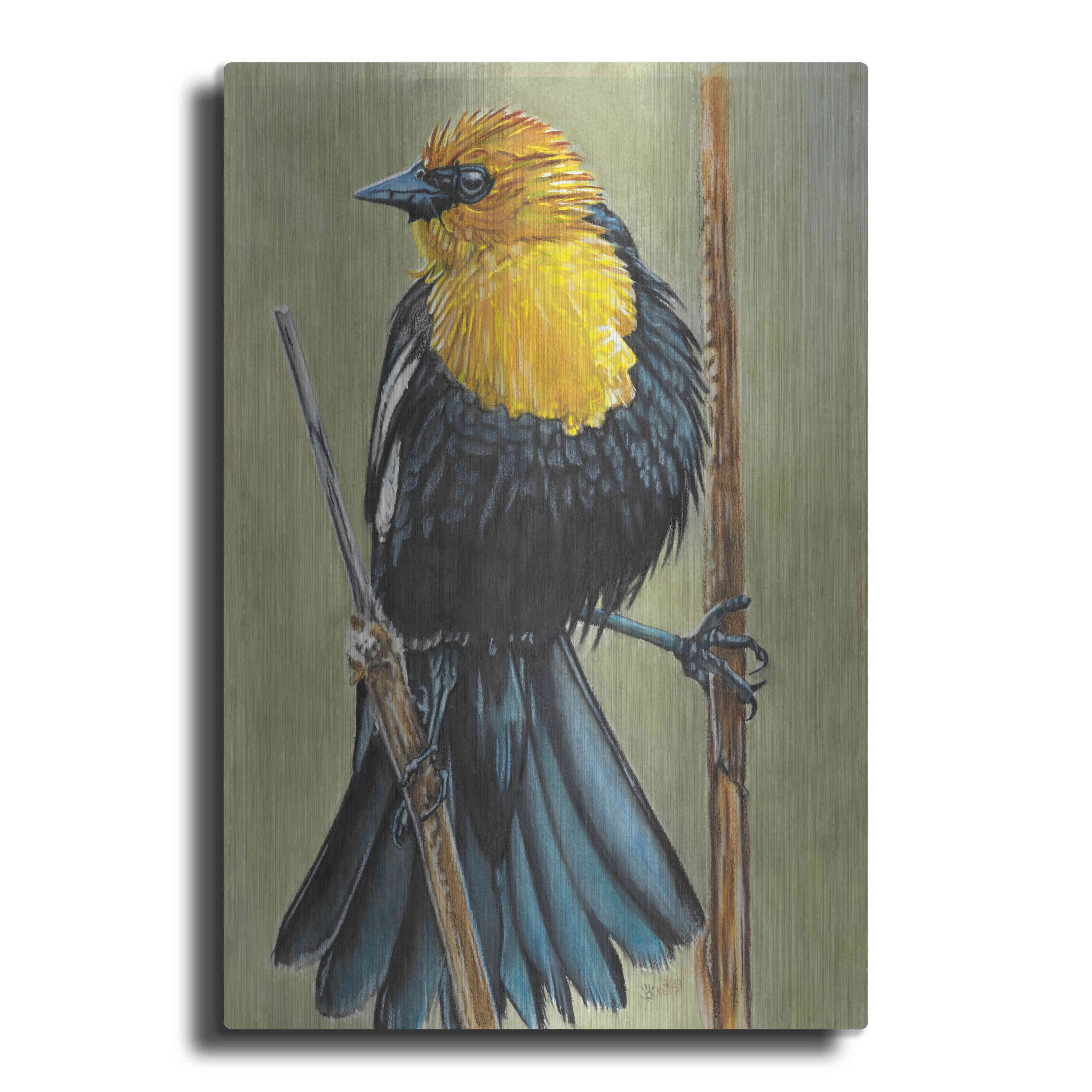 Luxe Metal Art 'Smug' by Barbara Keith, Metal Wall Art, 24"x36 ...
