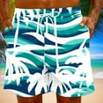 Qiaocaity Men's Plus Size Shorts Swim Trunks Beach Shorts Quick Dry ...