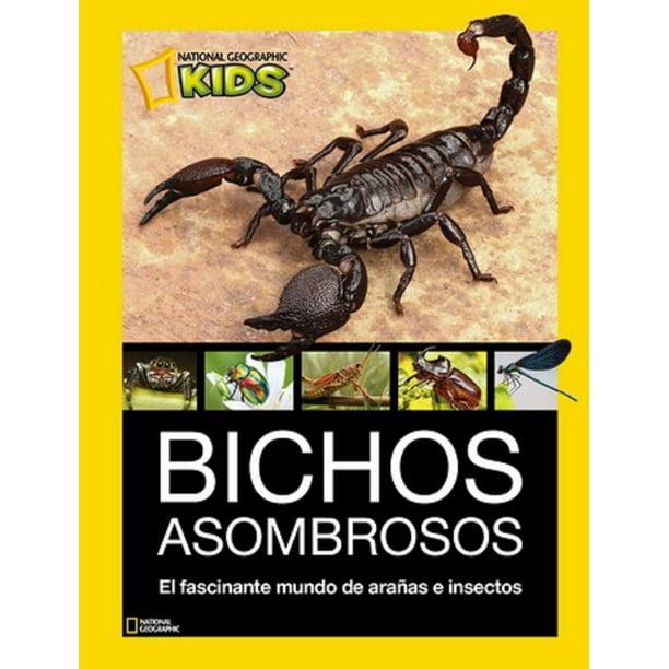 BICHOS ASOMBROSOS: EL FASCINANTE MUNDO DE ARAÑAS E INSECTOS National ...