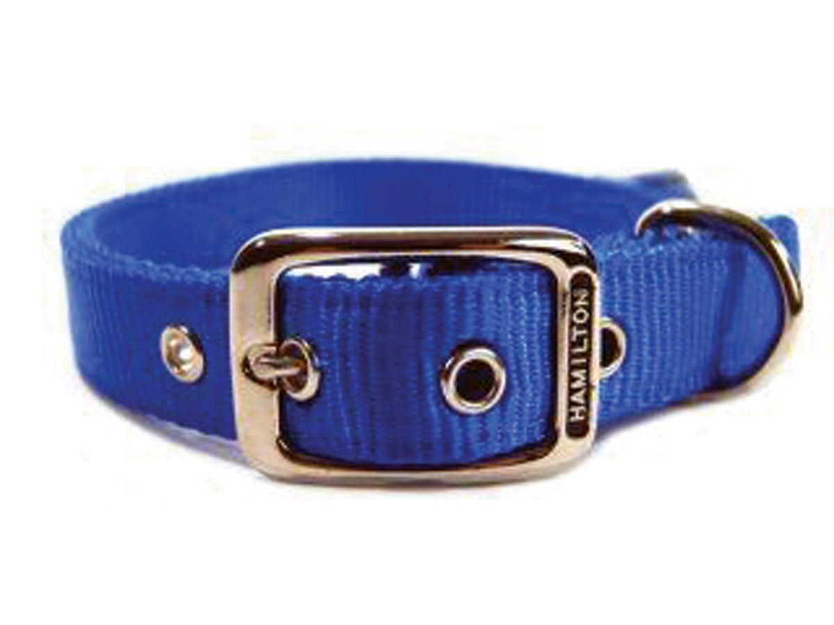 Hamilton 1" Double Thick Nylon Deluxe Dog Collar, 22" long, Blue ...