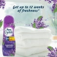 Purex Lavender Blossom In-Wash Fragrance Booster 21 oz for Laundry ...