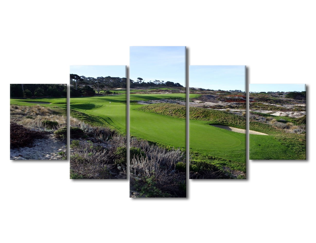 TISHIRON 5PCS Framed Canvas Wall Art Set,60"x32" Green Golf Course ...