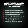 Bully Max Muscle Gain Chewable Tablets for Puppies and Adult Dogs, 60 ...