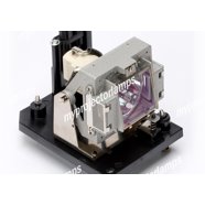 NEC Display NP34LP Replacement Lamp - Walmart.com