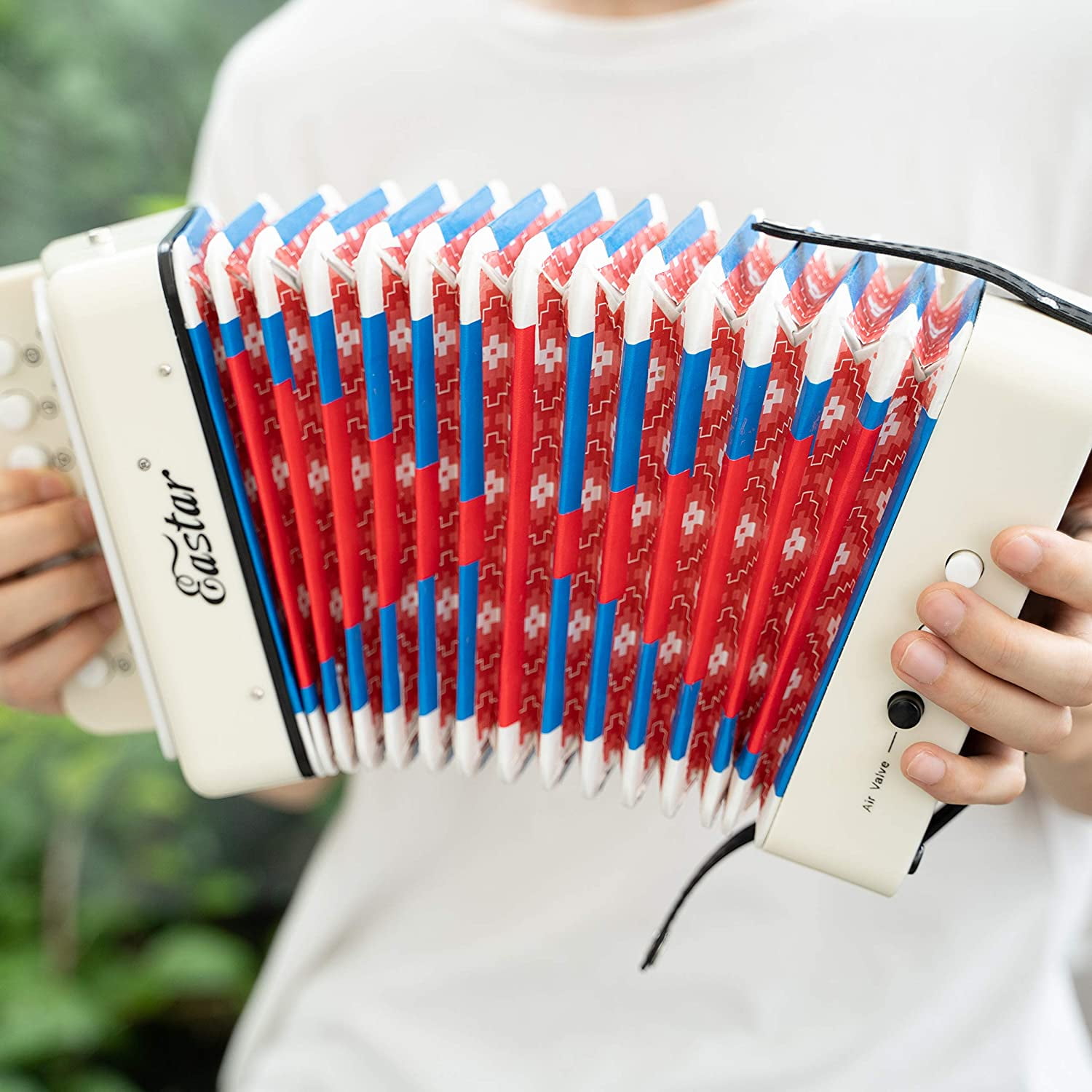 Rose Red Horse Button Accordion 10 Keys Control Kids Accordion Musical ...