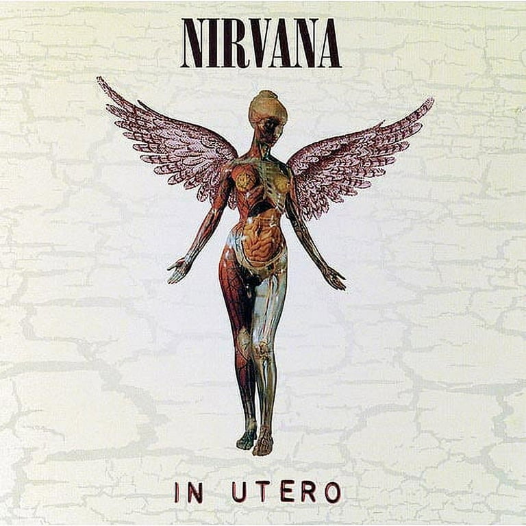 Nirvana - In Utero (20th Anniversary Edition) - Music Nirvana - In Utero (20th Anniversary Edition) - Music