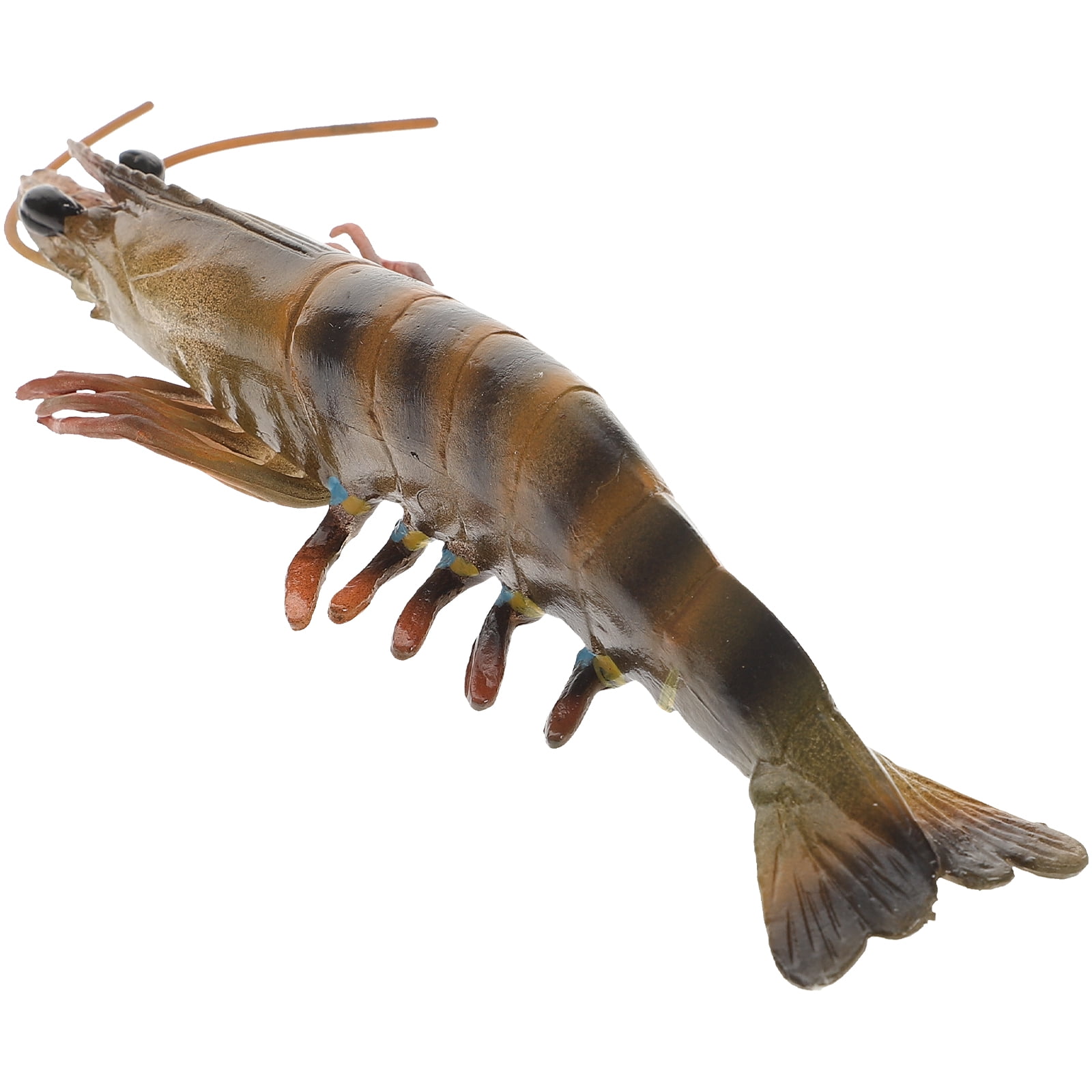 Educational Shrimp Toy Plastic Kids Plaything Funny Children Plaything ...