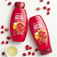 Garnier Whole Blends Color Care Conditioner with Argan Oil & Cranberry ...