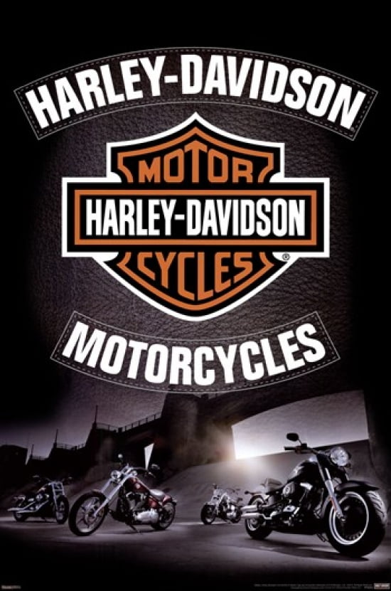 Harley Davidson - Leather Poster (24 x 36) - Walmart.com