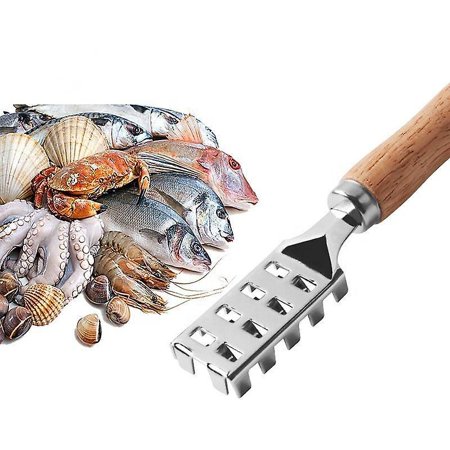 LLC Japan-Made Extra Large Fish Scaler Brush with Brass Serrated ...