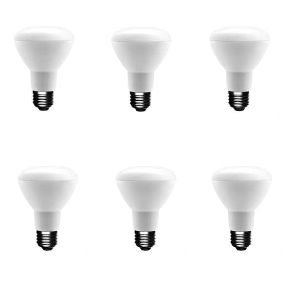 EcoSmart 50-Watt Equivalent R20 Dimmable LED Light Bulb Softwhite (6 ...