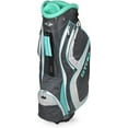 Ray Cook Gyro Ladies Graphite Complete Set with Bag Golf - Walmart.com
