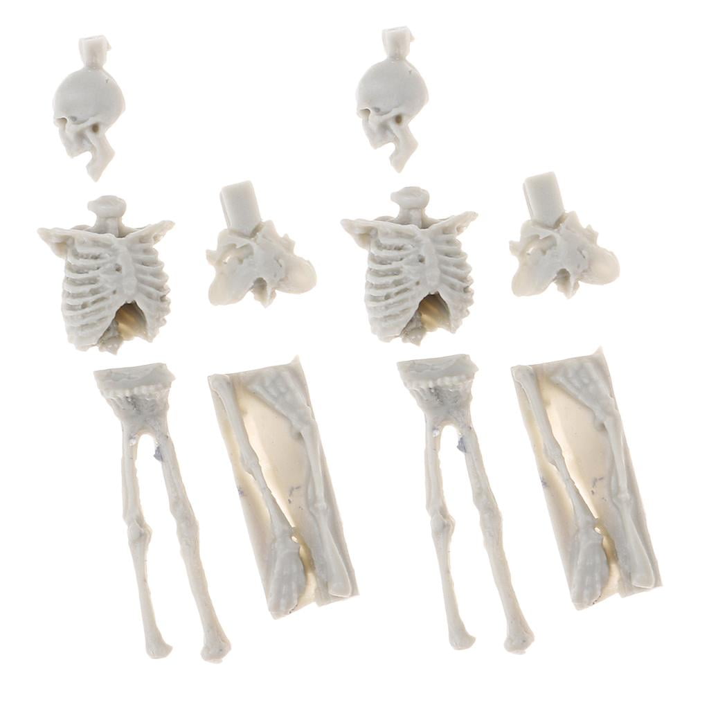 2x 1/35 Scale Resin Skeleton Model , Unpainted Figurine Diorama ...