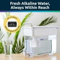 Invigorated Water 38-Cup Capacity Alkaline Water Filter Dispenser ...