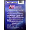 Sheen Gems The Best of Fulton J. Sheen Volume 1 and 2 DVD - Walmart.com