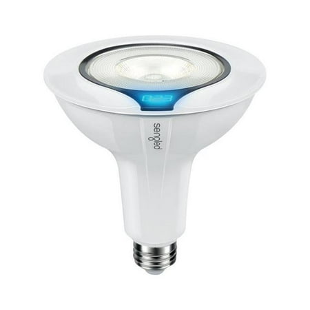 Everbright LED Light Bulb 12 watt 1050 Lumens 3000 K LED PAR38 Warm ...