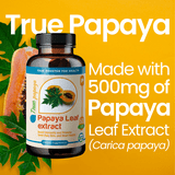 TrueMed Papaya Leaf Extract Support for Blood Platelet Bone Marrow Immunity Good Hair Heart ...