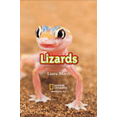 Lizards (Paperback) - Walmart.com