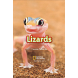 Lizards (Paperback) - Walmart.com
