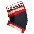 Beyondvision Custom Musical Instruments [ Accordion] Embroidered Iron ...