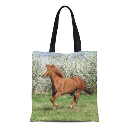 JSDART Canvas Tote Bag Chestnut Quarter Horse Running in Front of ...