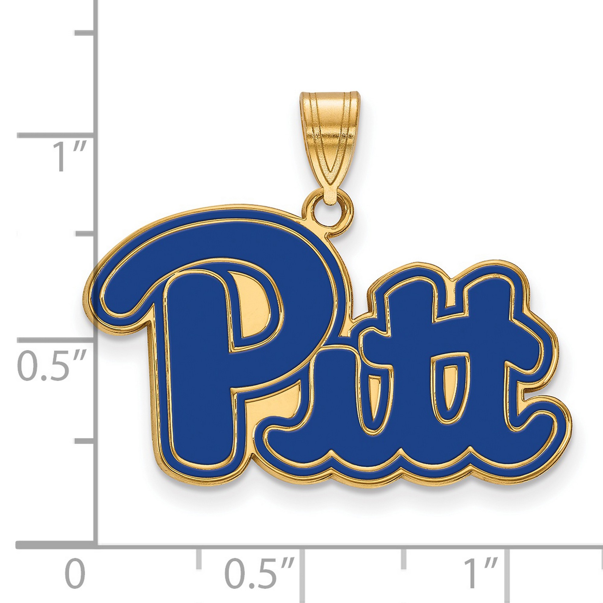 Pitt School Colors
