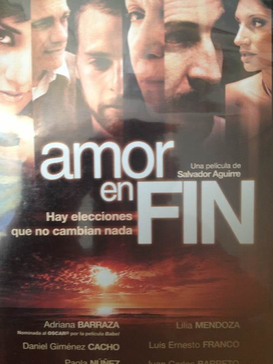 Amor En Fin Movie DVD - Walmart.com