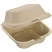 Avant Grub Biodegradable 6x6 Take Out Boxes, 100 Pack, Disposable Carry ...