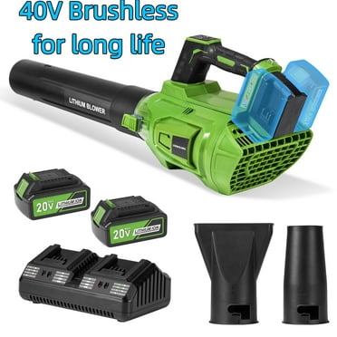 ZoomBroom Small Wireless Electric Air Blower, Lightweight ...