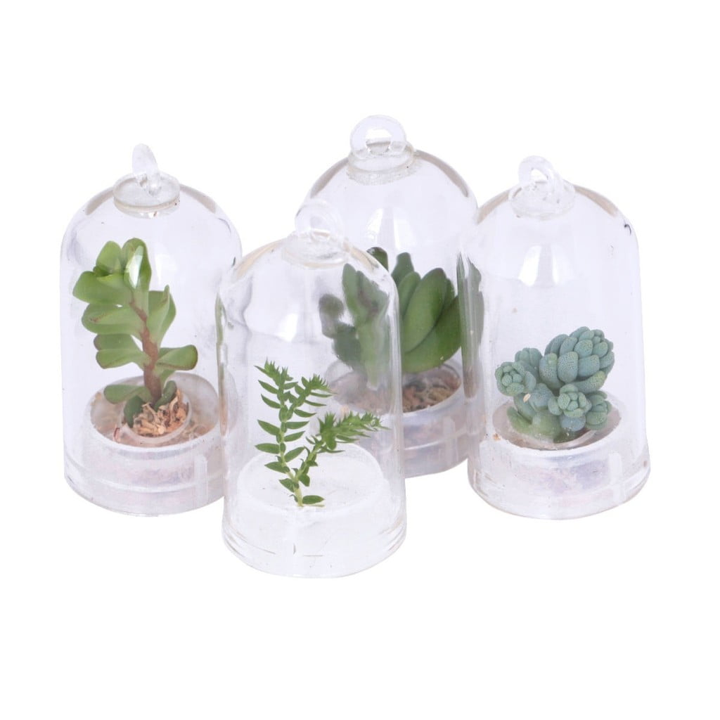 Click here for Wobythan Succulent Cacti Terrarium Plants Pandant... prices