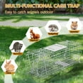24" Live Animal Cage Trap, Heavy Duty Folding Raccoon Trap, Humane Cat ...