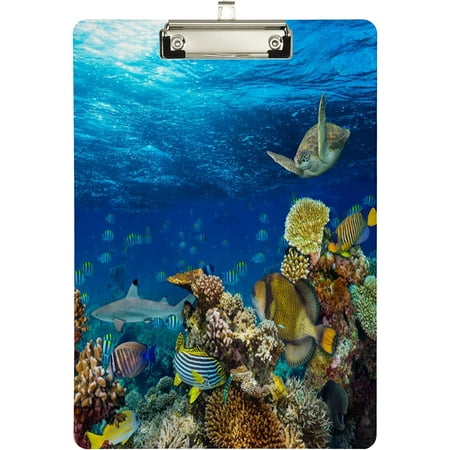 POGLIP Beautiful Ocean Turtle Fish Clipboard Hardboard Wood Nursing ...