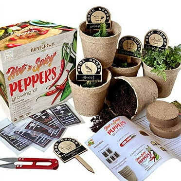 Mini Microgreens Growing Kit - Red Streaks Mizuna Mustard - Grow Your ...