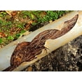 Zep Root Kill - 2 Lbs (Case of 4) ZROOT24 - Root Control in Septic ...