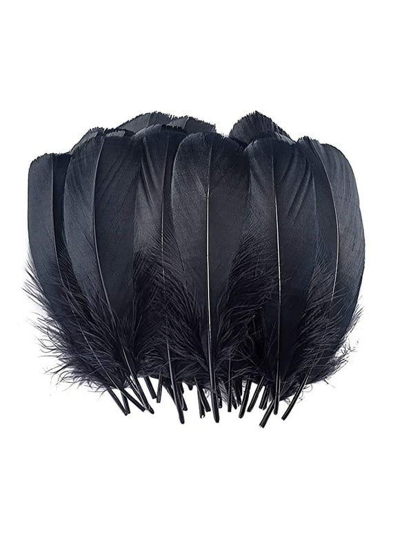 Craft Feathers in Basic Craft Supplies - Walmart.com