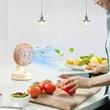 Hgallory Classic Desk Fan Rechargeable, Retro Style Mini Fan Adjustable ...