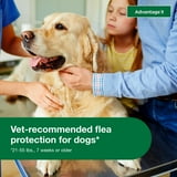 Advantage II Flea Prevention for Large Dogs 21-55 lbs, 4-Month ...